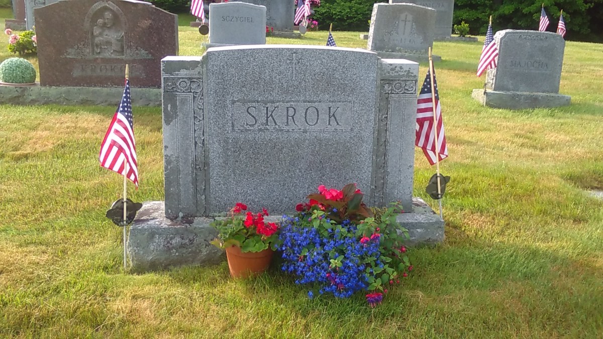 Other Skrok Families | My Family History Research